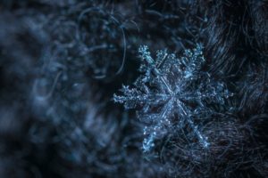 Shape In Photography: Captivating Compositions And Artistic Expressions ...