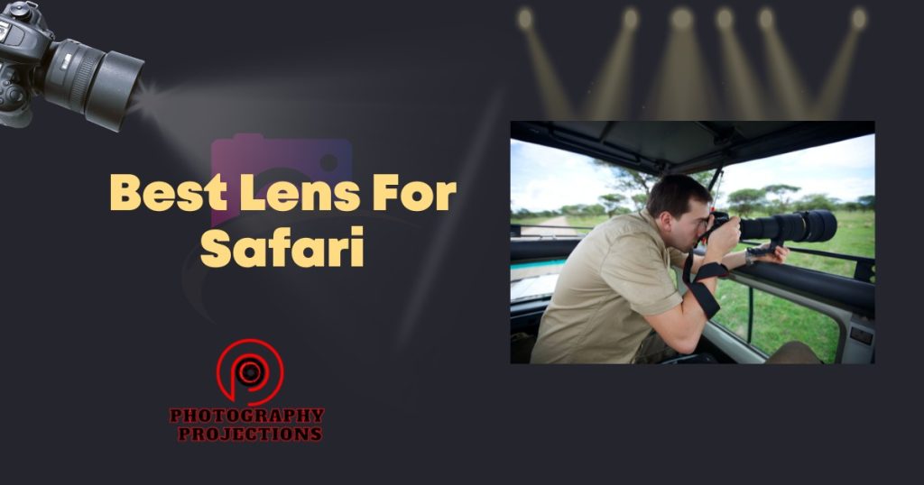Capture The Wild: Best Lens For Safari Photography » Photography Projections